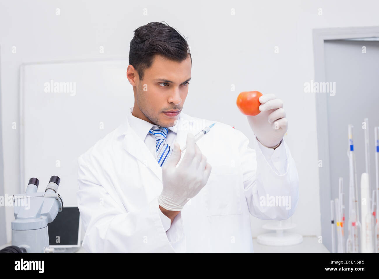 Serious scientist doing injection to tomato Stock Photo - Alamy