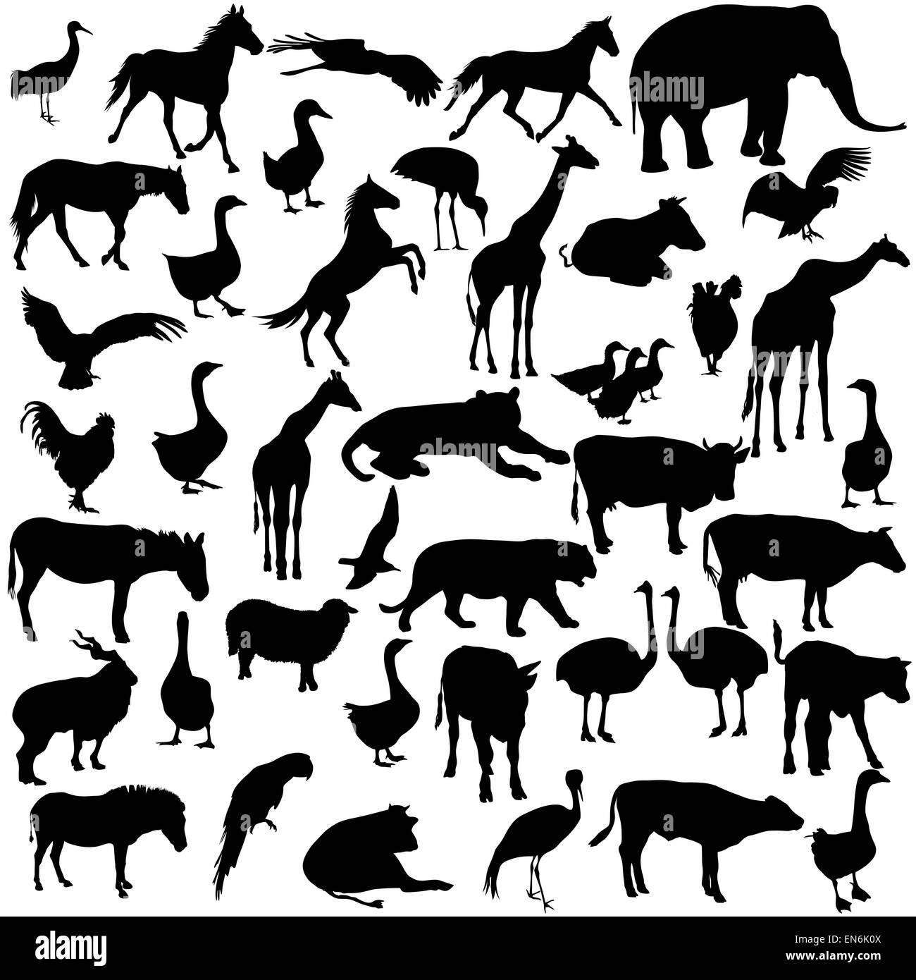 Set silhouettes animals and birds in the zoo collection. Vecto Stock ...