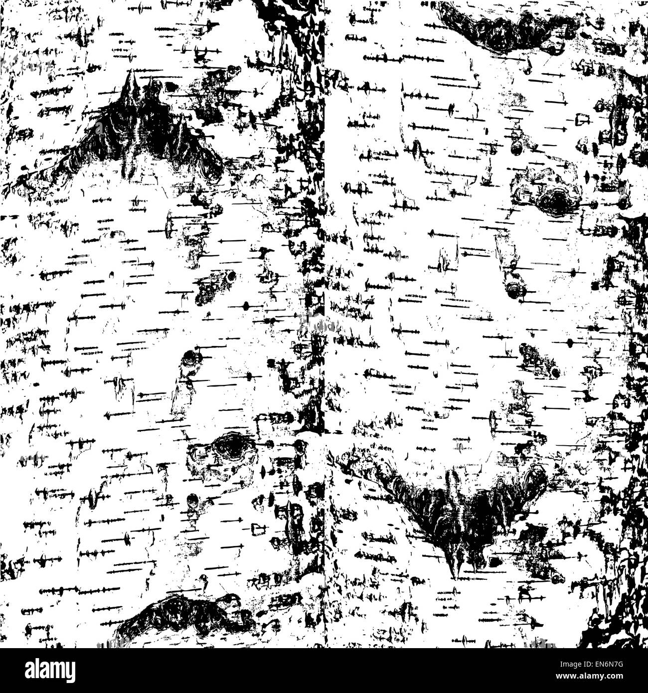 bark of birch in the cracks texture. Vector illustration Stock Photo ...