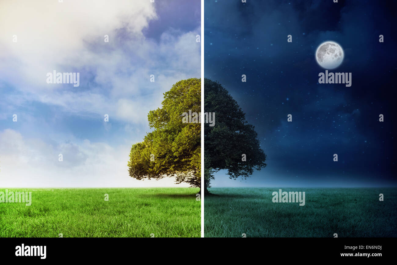 Night and day scene with tree Stock Photo - Alamy
