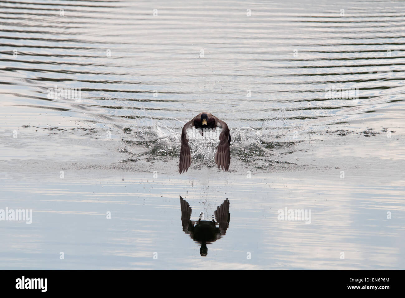 Wave texture hi-res stock photography and images - Alamy