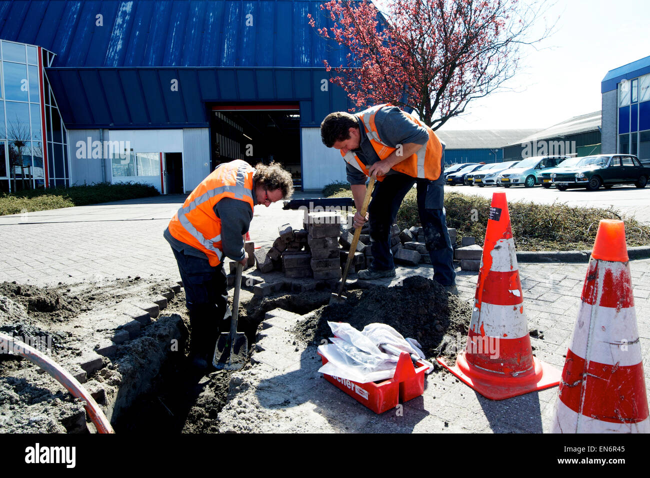 Men laying optical fiber cables Stock Photo - Alamy