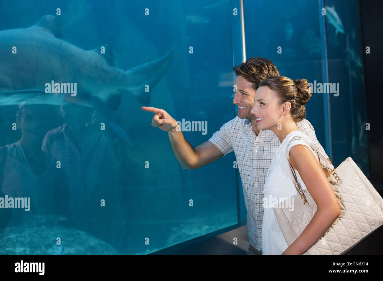 Happy couple looking at fish tank Stock Photo - Alamy