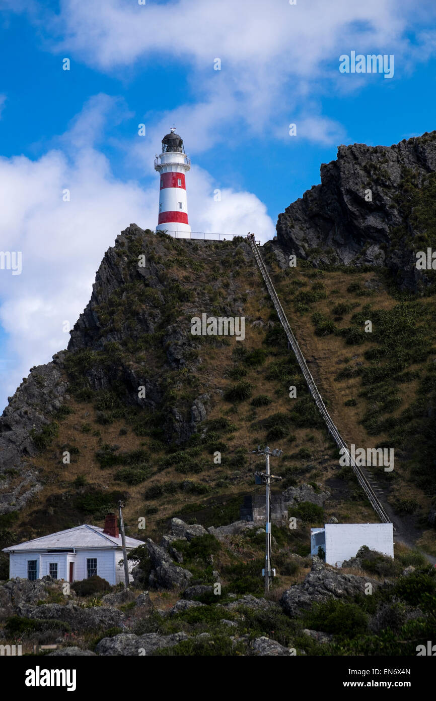 Cape Palliser lighthouse standing atop a cliff up 252 steps, New ...