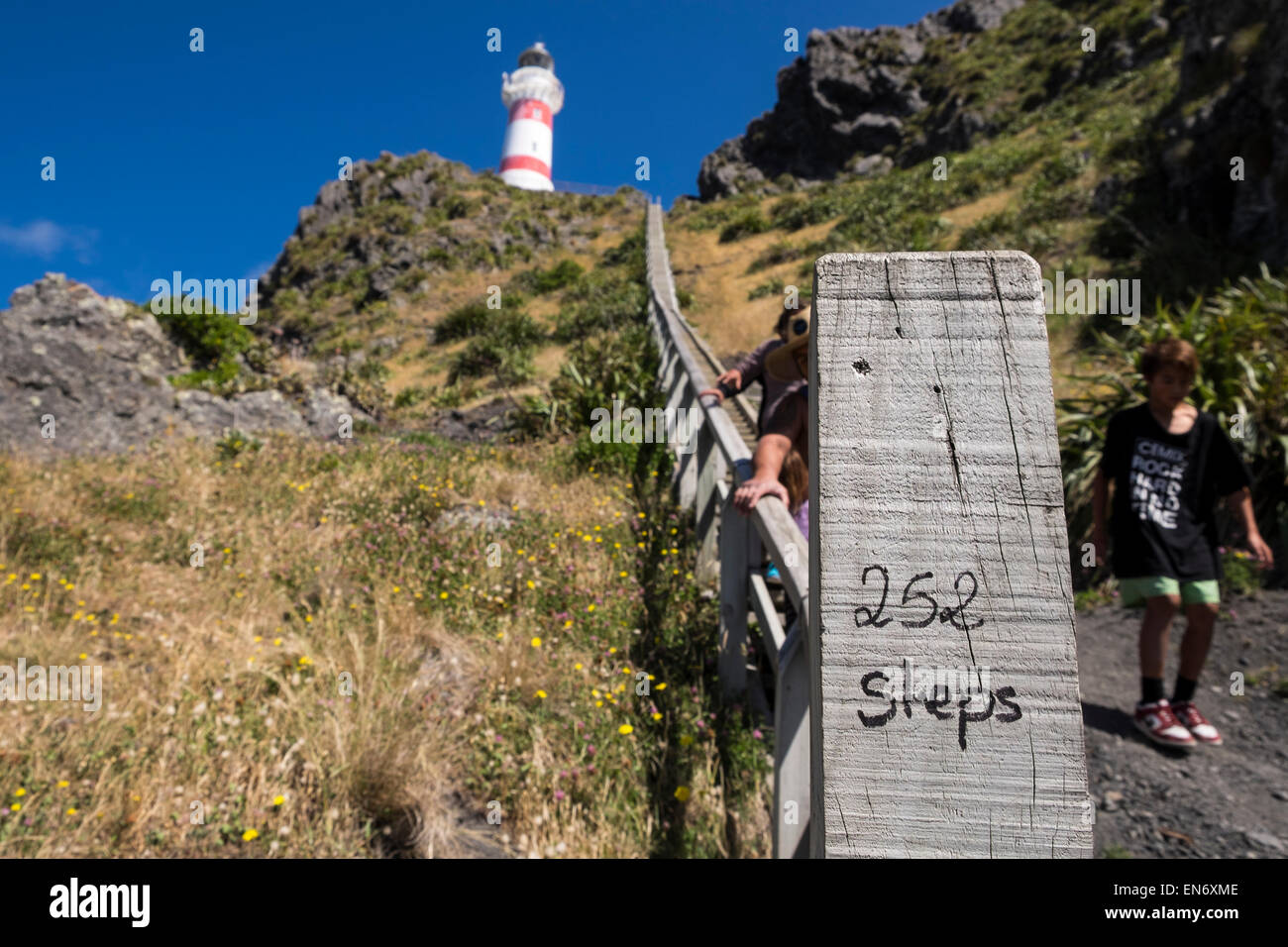 Cape Palliser lighthouse standing atop a cliff up 252 steps, New ...