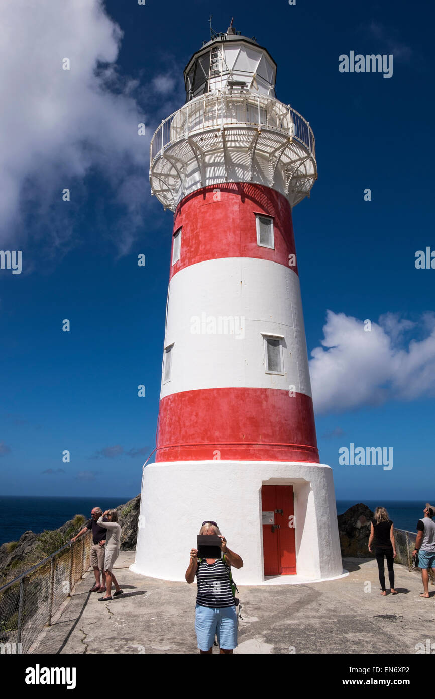 Cape Palliser lighthouse standing atop a cliff up 252 steps, New ...