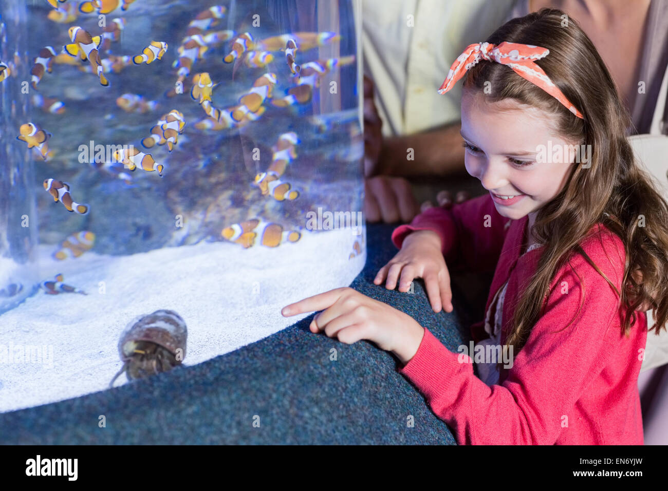 Shellfish family hi-res stock photography and images - Alamy