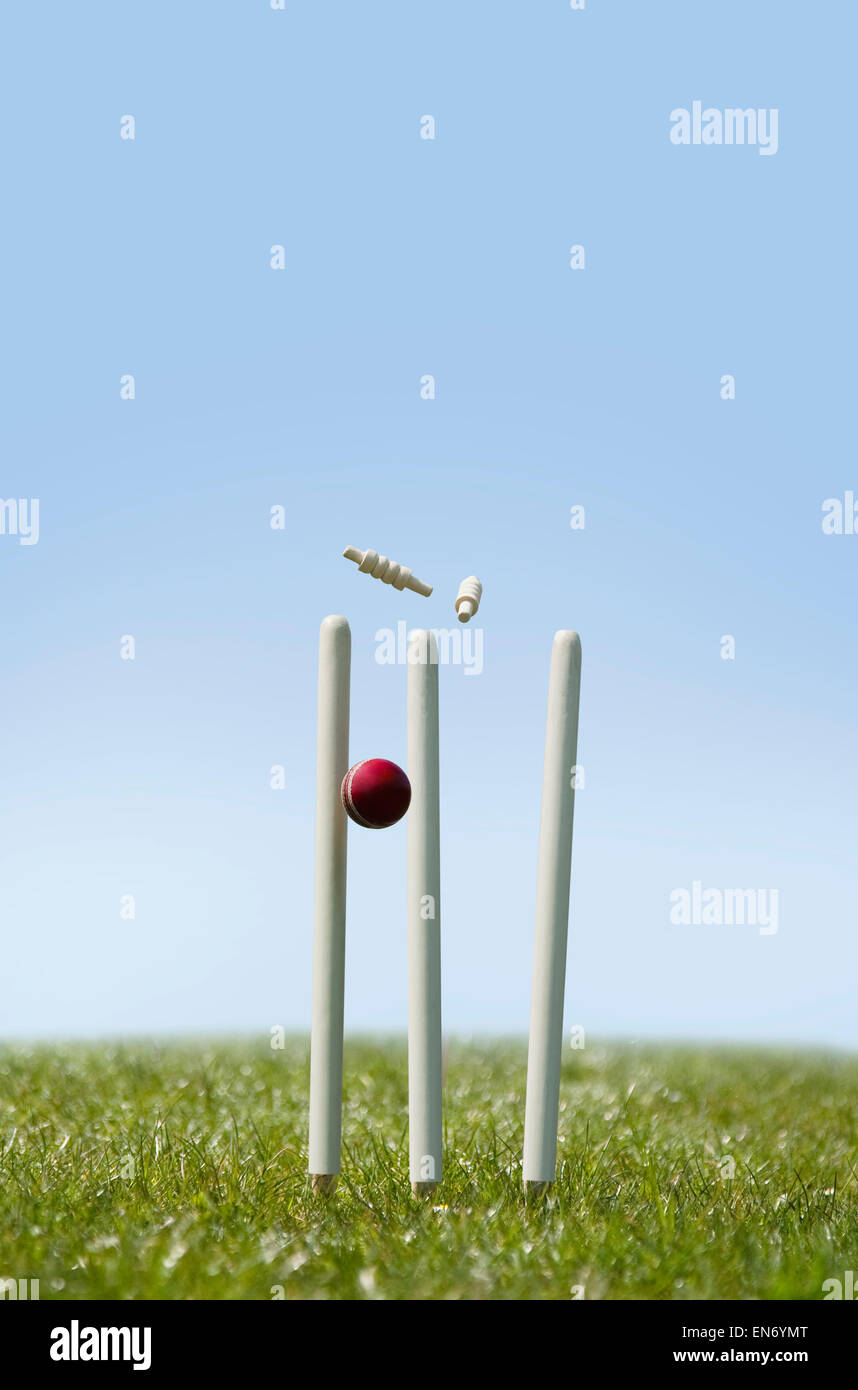 Cricket ball hi-res stock photography and images - Alamy