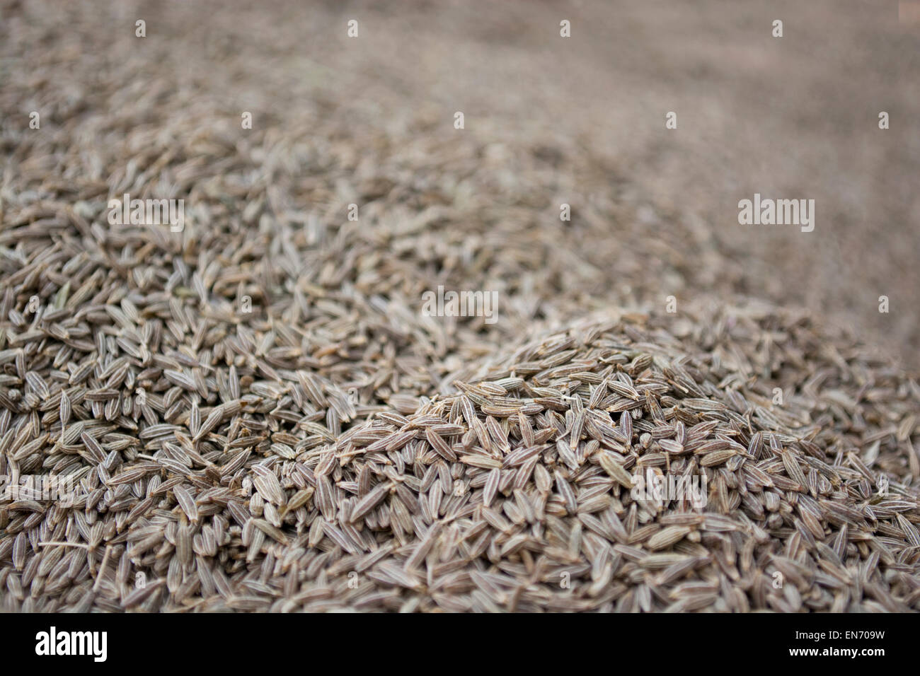 Full frame of Cumin seeds Stock Photo - Alamy
