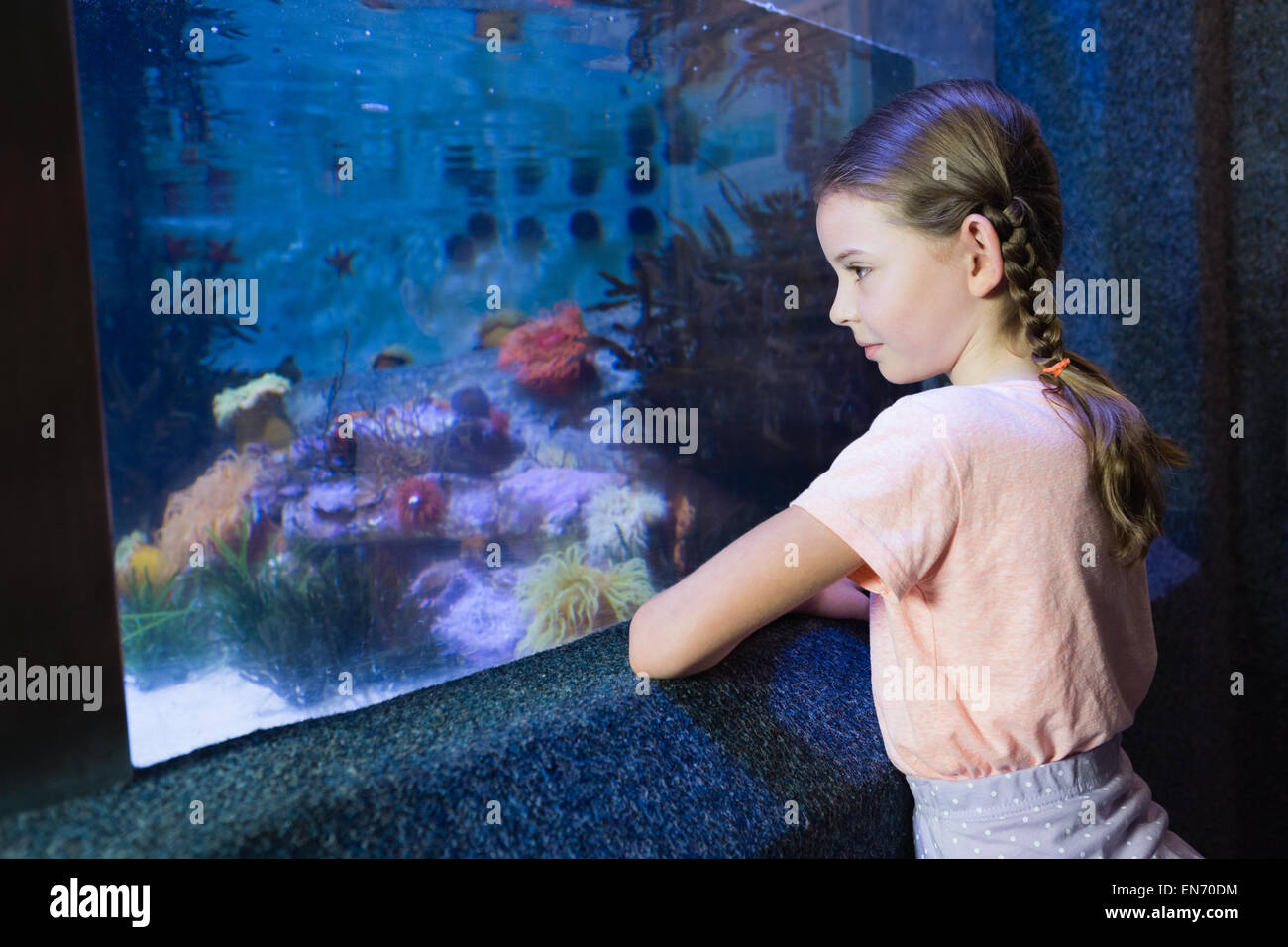 Cute girl looking at fish tank Stock Photo - Alamy