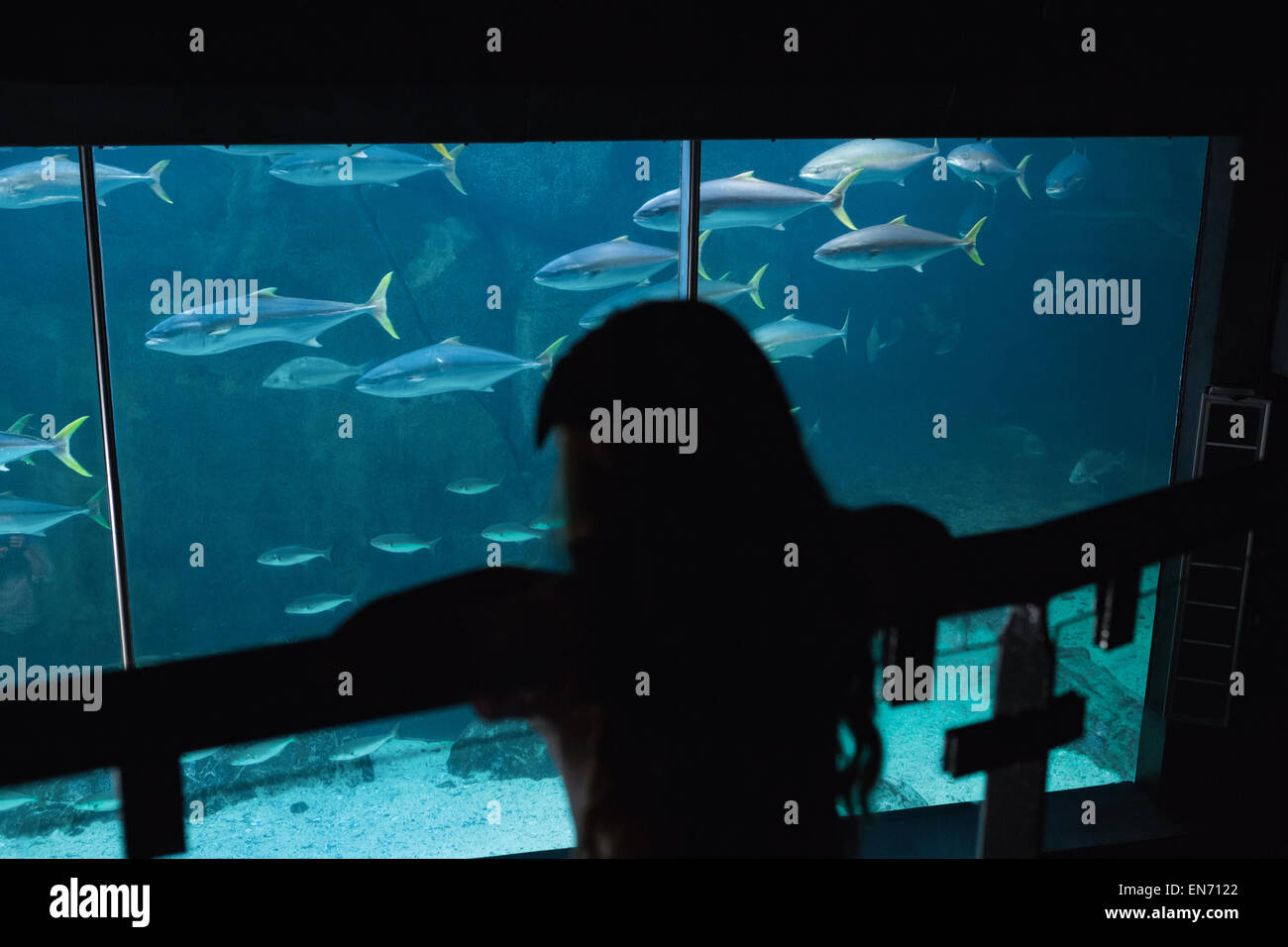 Girl with fish hi-res stock photography and images - Alamy