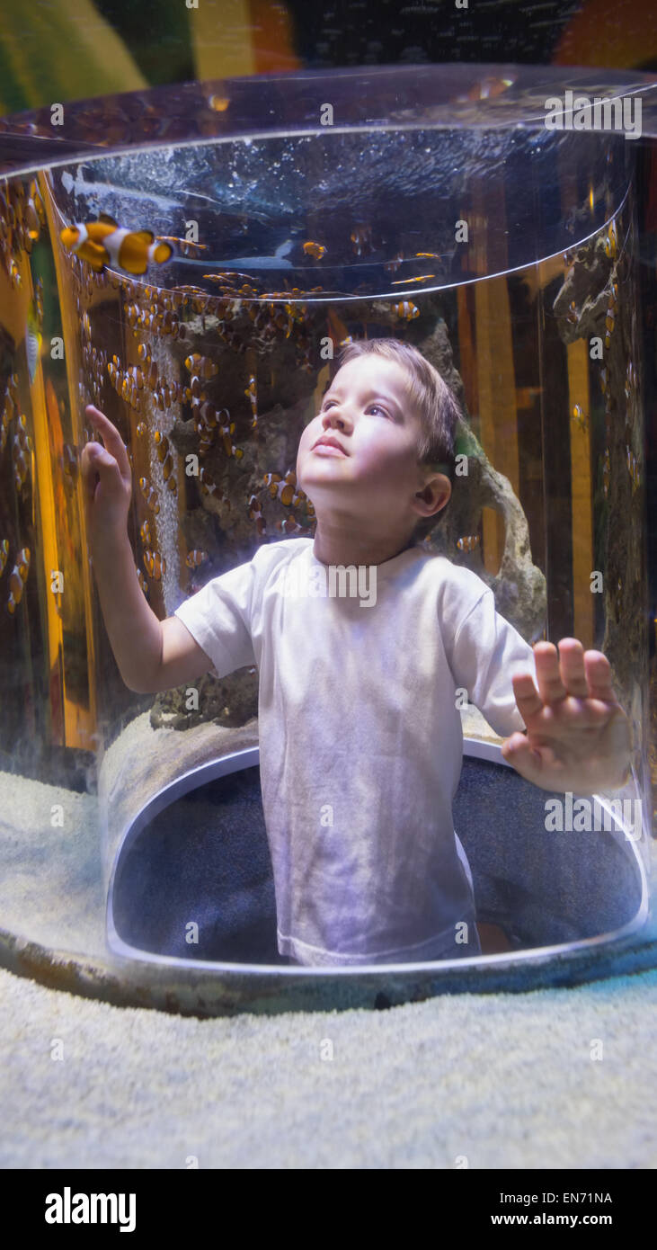 The boy and the fish hi-res stock photography and images - Alamy