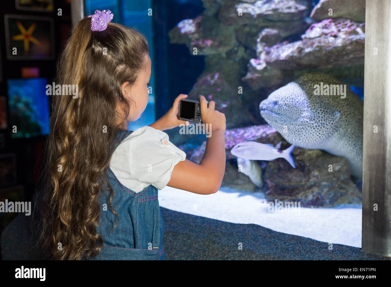 Underwater photo girl hi-res stock photography and images - Alamy