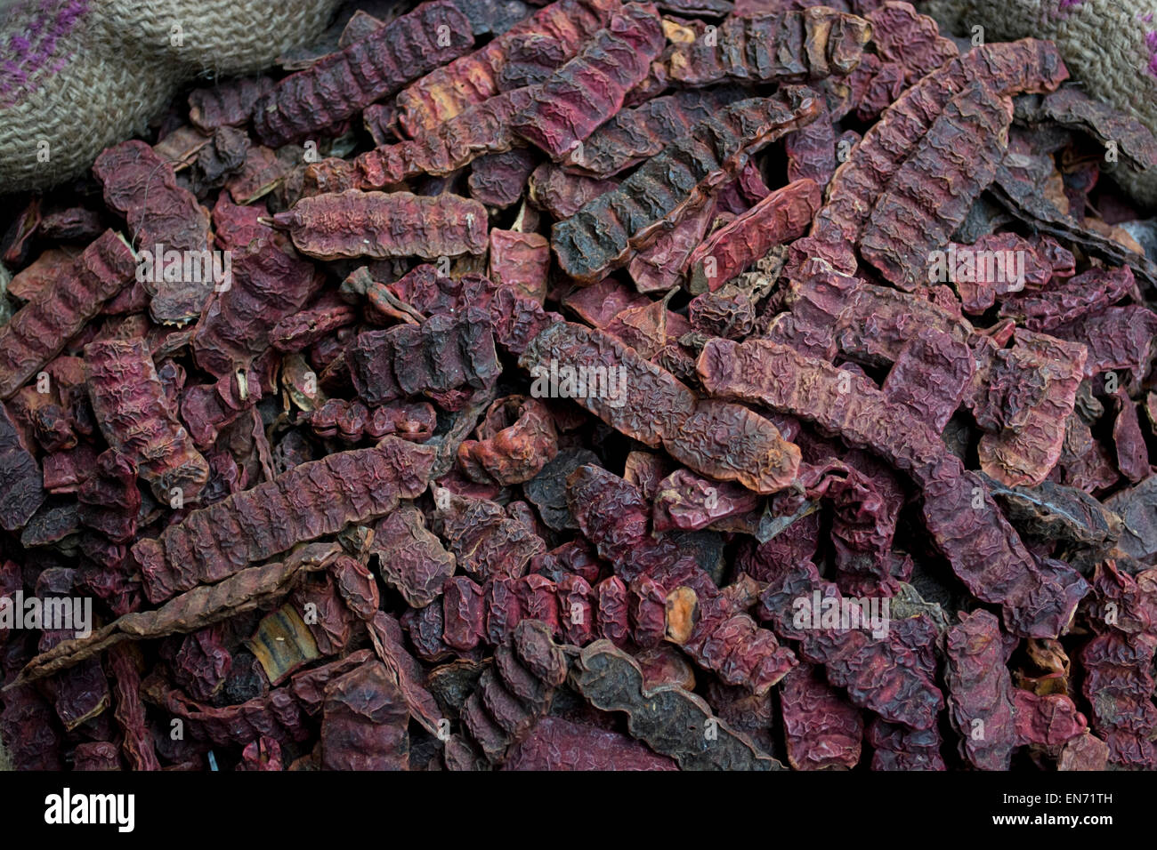 Shikakai seeds hi-res stock photography and images - Alamy