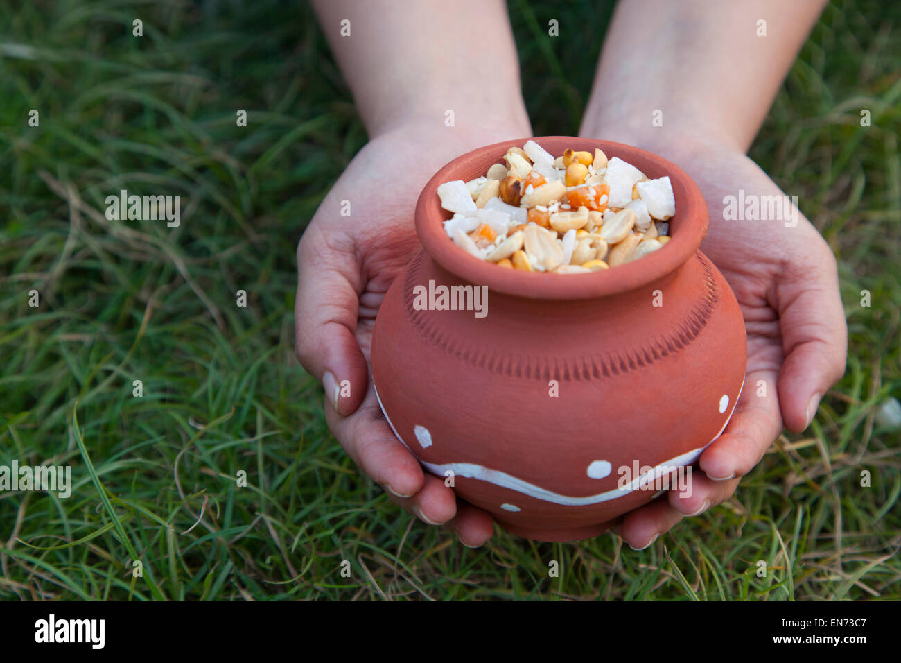Hands holding pot with variety of ingredients Stock Photo - Alamy