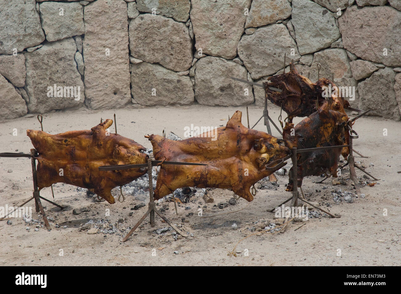roast barbeque suckling pig in sardinia mountains Stock Photo - Alamy