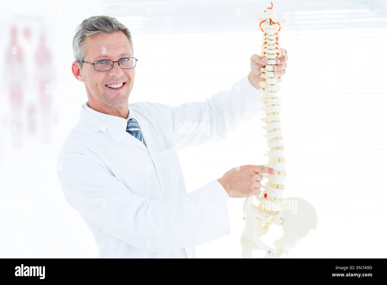 Doctor showing anatomical spine Stock Photo - Alamy