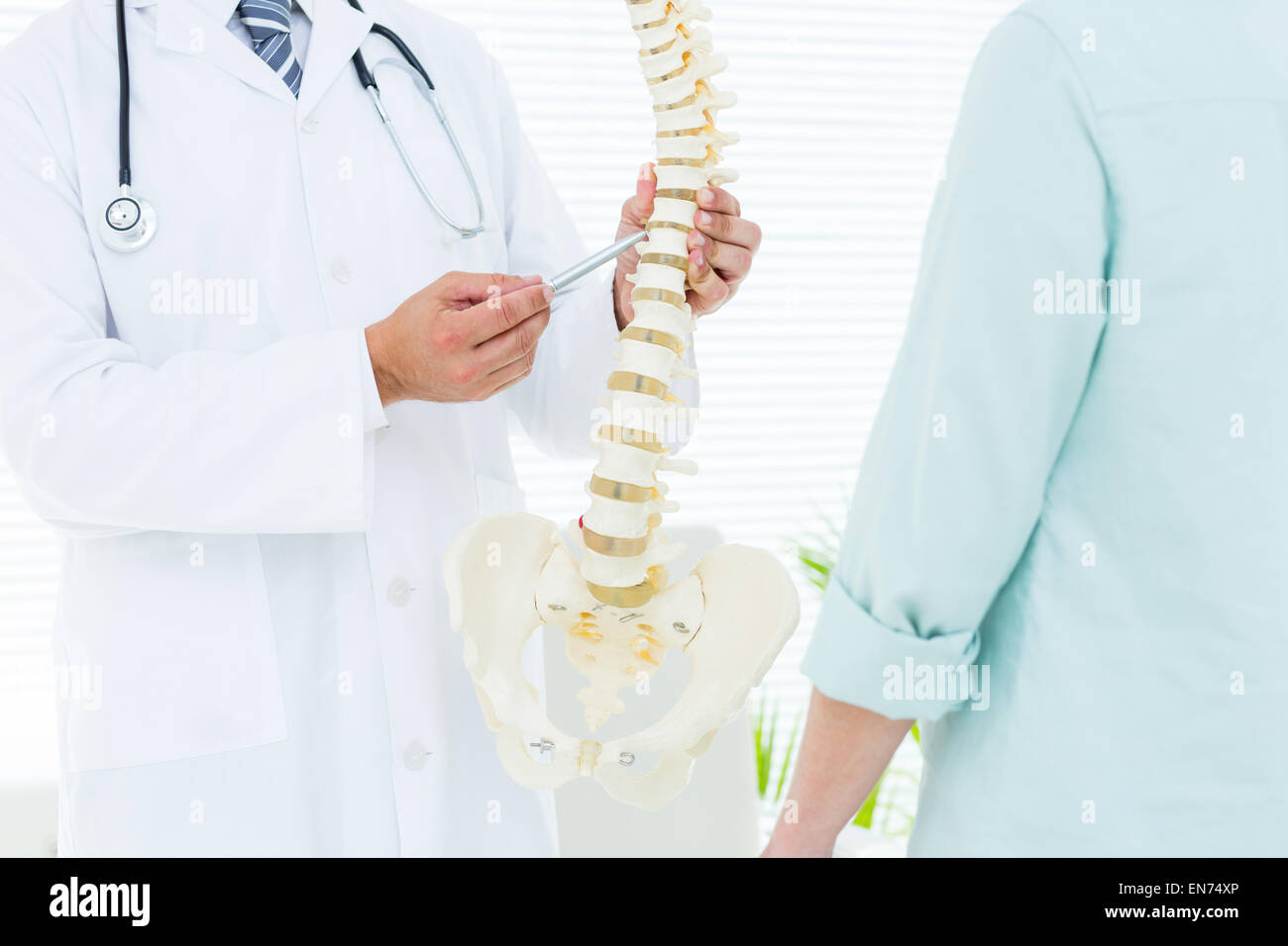 Doctor pointing anatomical spine Stock Photo - Alamy