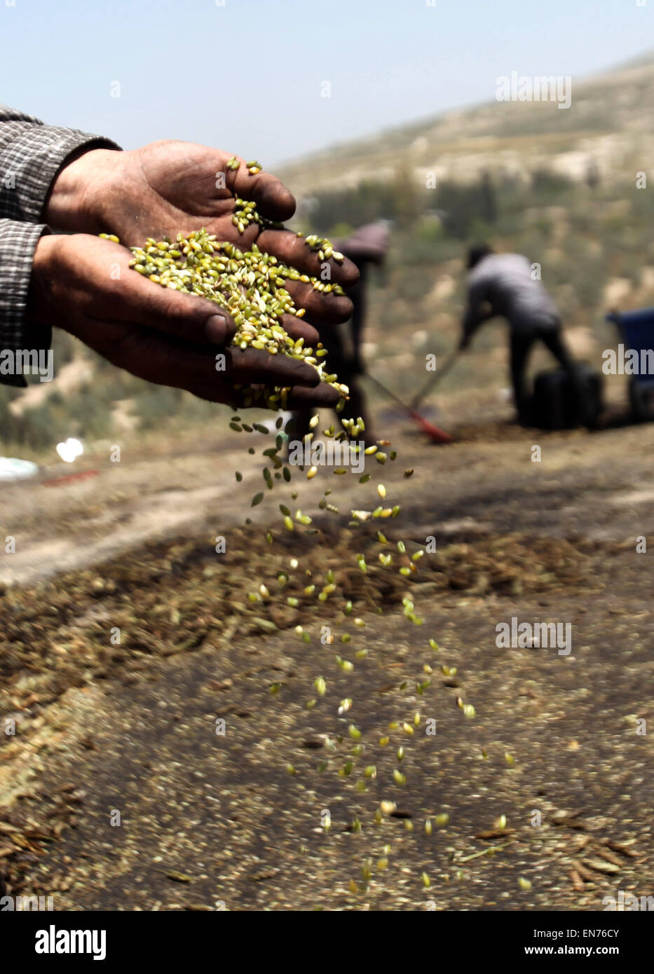 Chaff burned hi-res stock photography and images - Alamy
