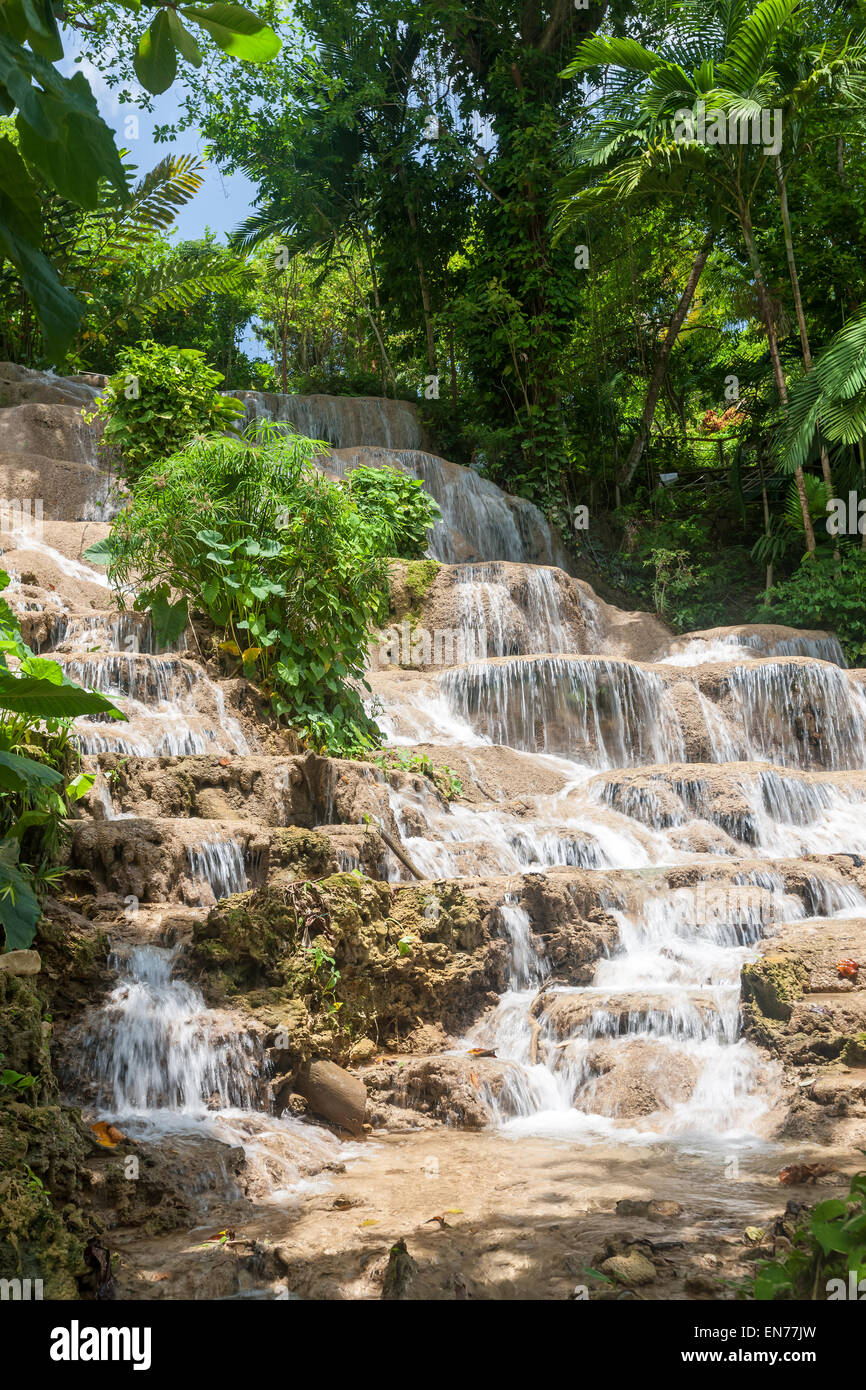 Jamaica. Dunn's River Falls Stock Photo - Alamy