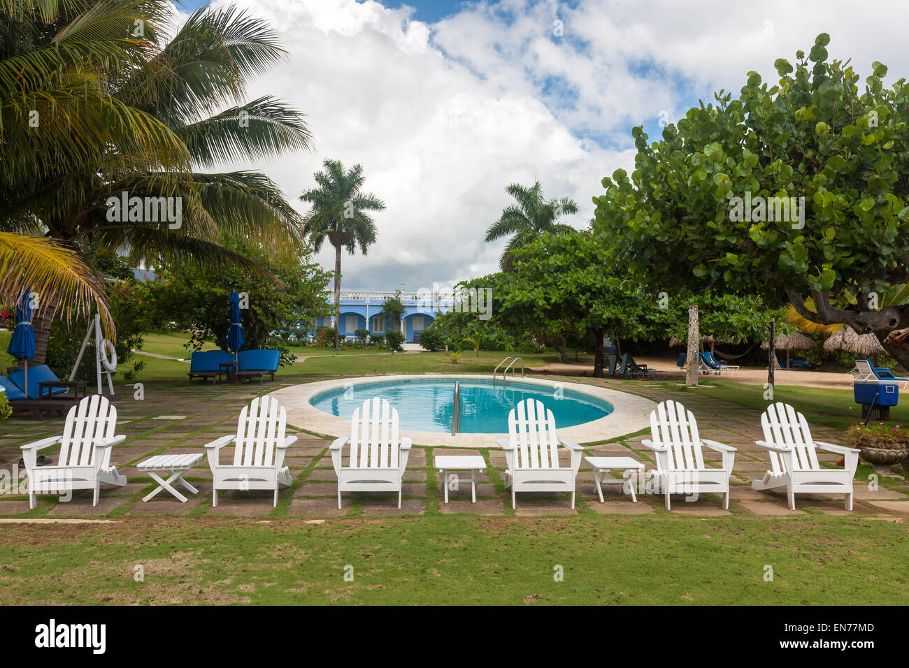 Palm Tree Swimming Pool Misters