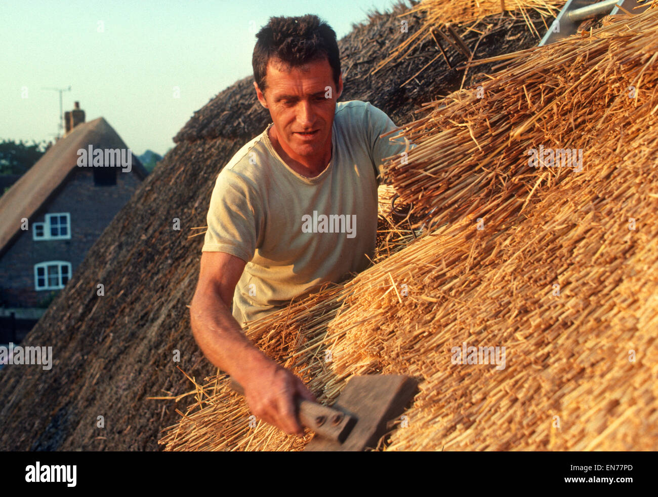 Skilled thatcher hi-res stock photography and images - Alamy
