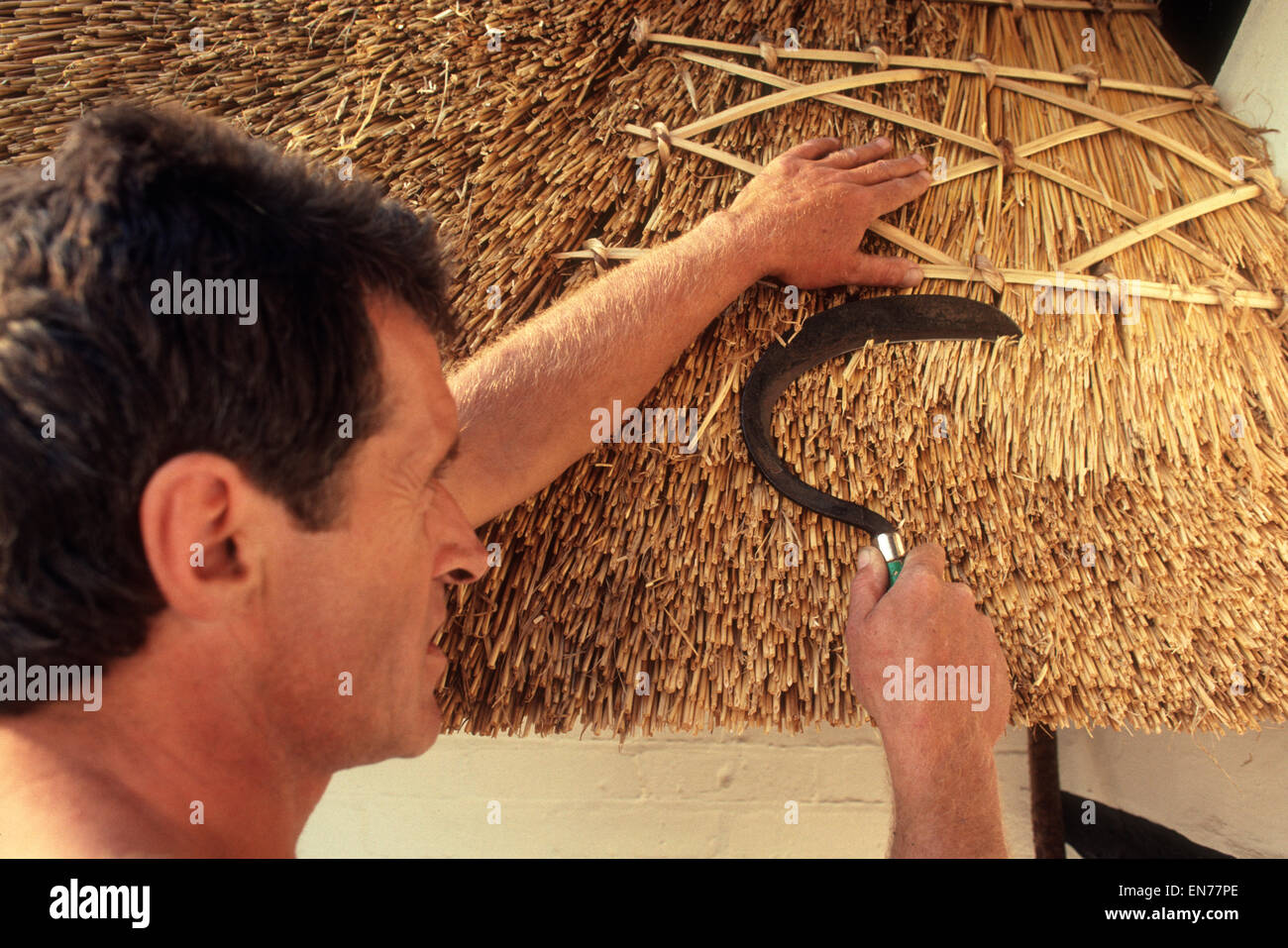 Thatcher working on a thatched roof, UK Stock Photo - Alamy