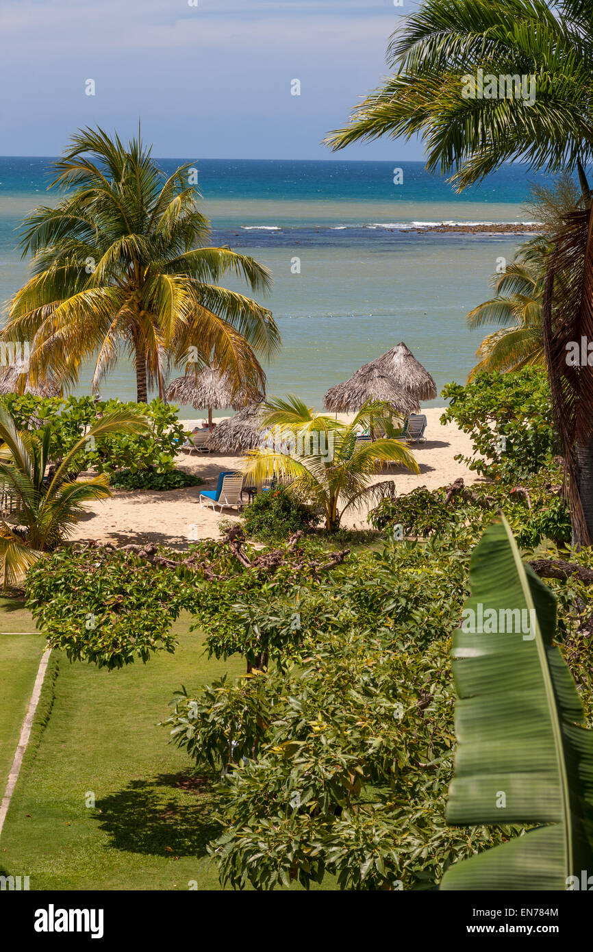 tropical garden and the ocean beach Stock Photo - Alamy