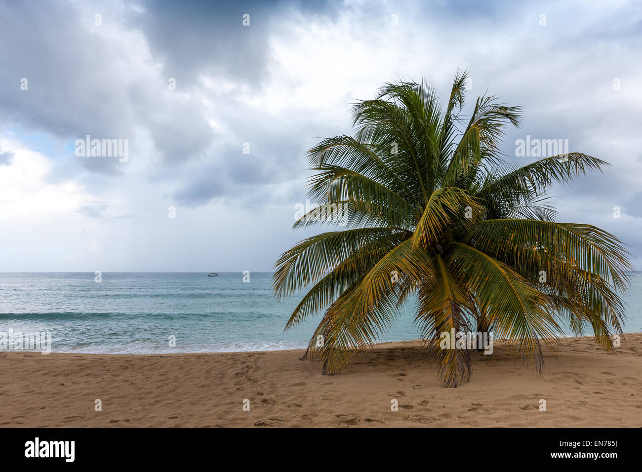 Beach on tropical island. Clear blue water, sand, palms Stock Photo - Alamy