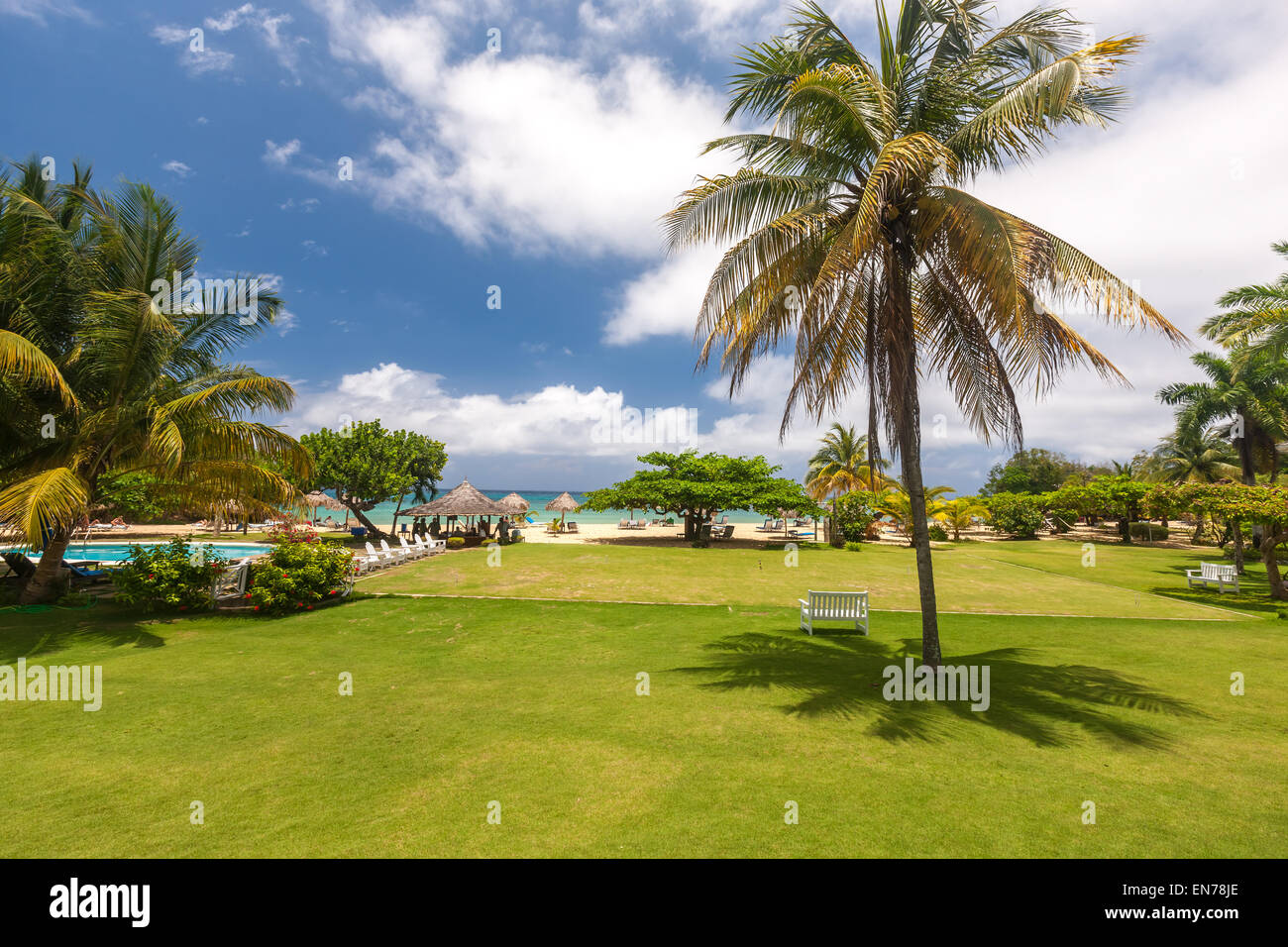 tropical garden and the ocean beach Stock Photo - Alamy