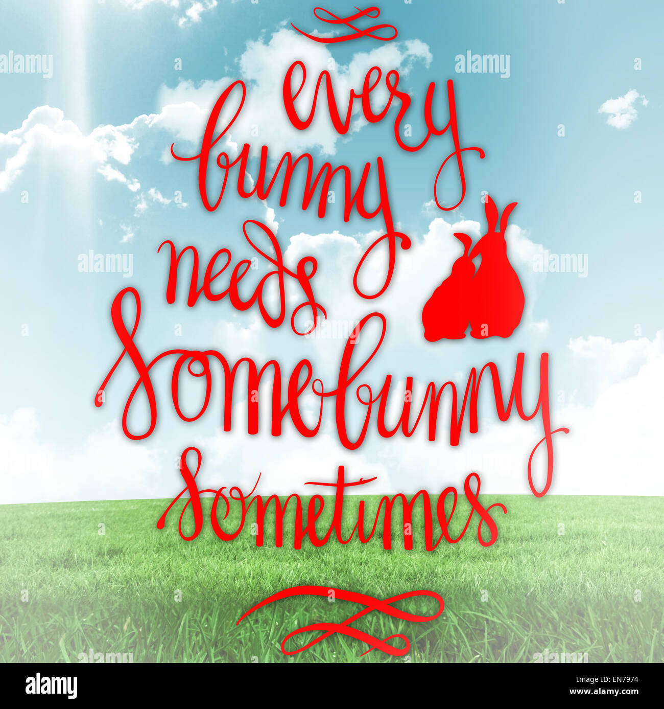 Some bunny needs hi-res stock photography and images - Alamy