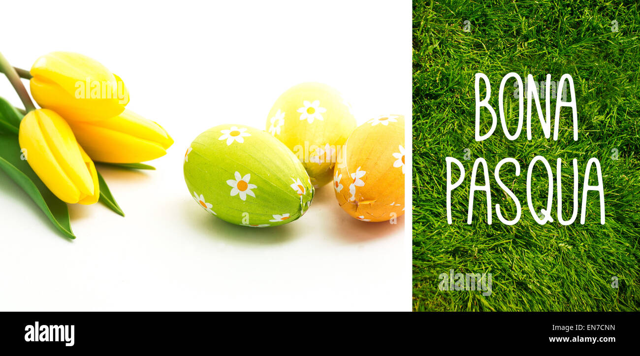 Flower of pasqua hi-res stock photography and images - Alamy