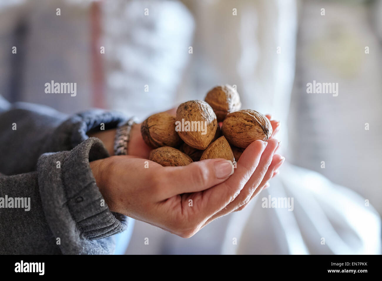 Woman's hands holding a handful of walnuts, closeup Stock Photo - Alamy