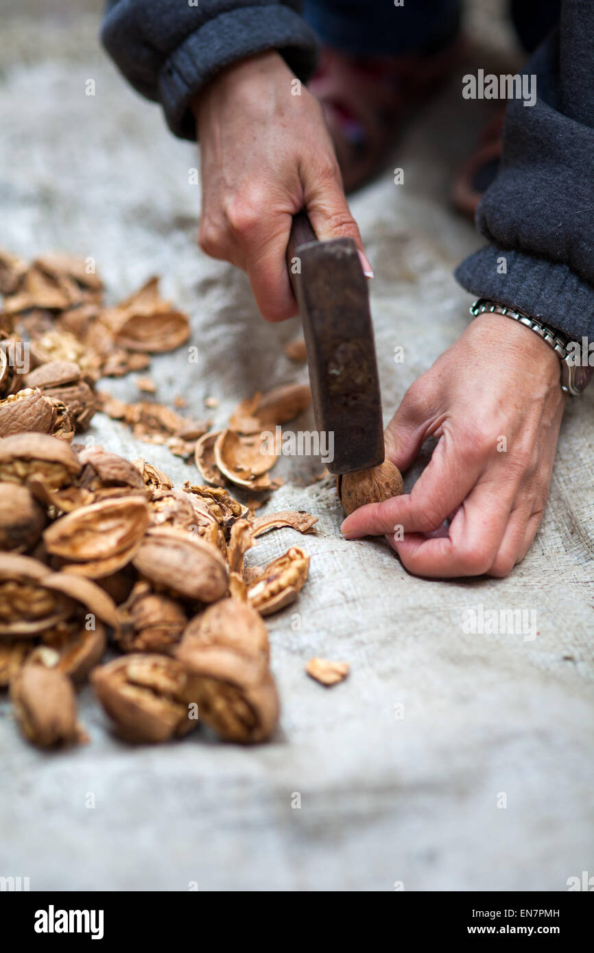 Walnuts woman hi-res stock photography and images - Alamy