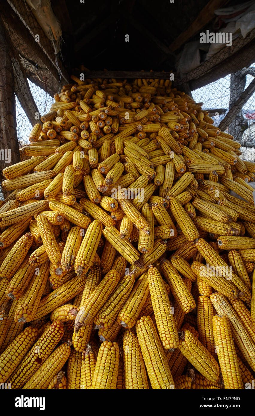 Maize barn hi-res stock photography and images - Alamy