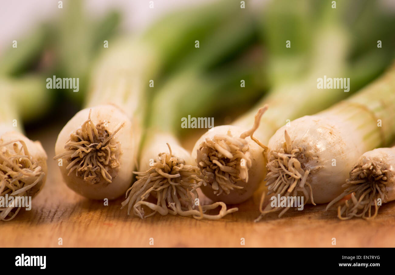 Spring onions on wooden hi-res stock photography and images - Alamy