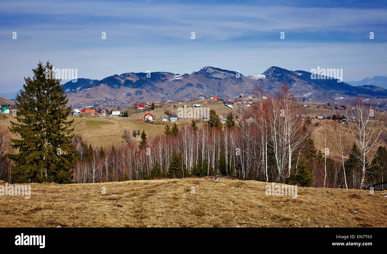 Landscape with mountains range and birch trees in foreground Stock ...