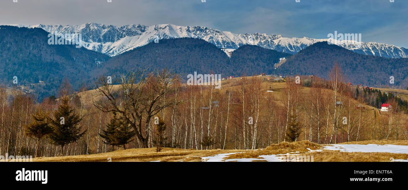 Landscape with mountains range and birch trees in foreground Stock ...