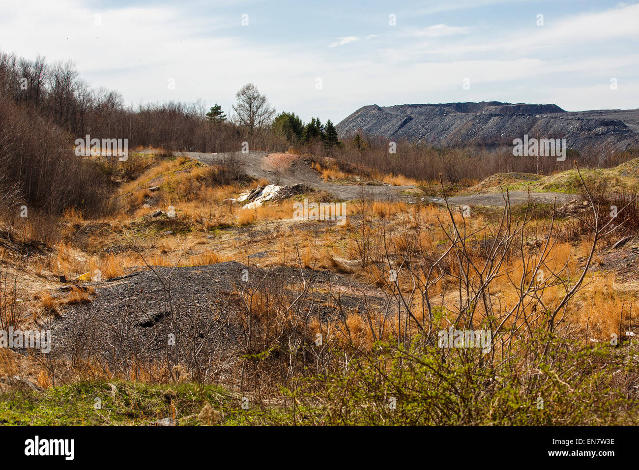 Fire damaged Hillside in Centralia, Pennsylvania where a mine fire that ...
