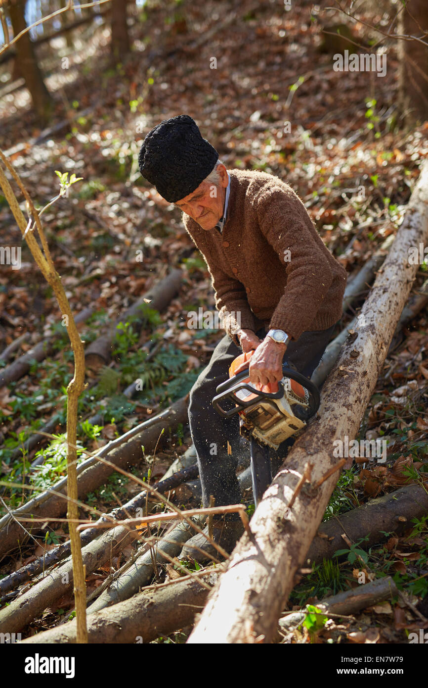 Old man cutting log with chainsaw hi-res stock photography and images ...
