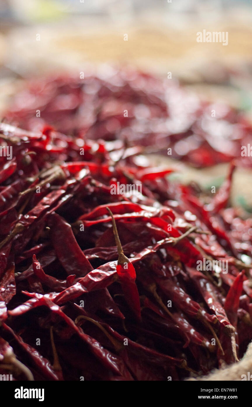 Indian red chillies hi-res stock photography and images - Alamy