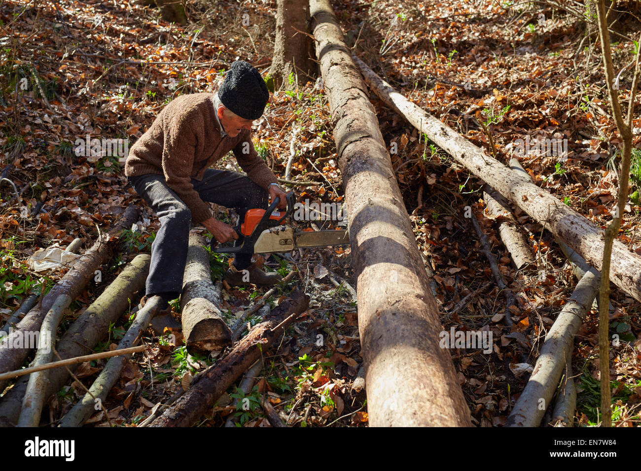 Machine to bark trees hi-res stock photography and images - Alamy