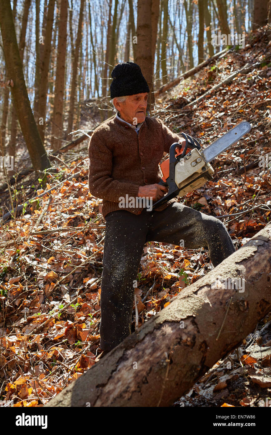 Senior caucasian man woodcutter cutting down trees with chainsaw Stock ...