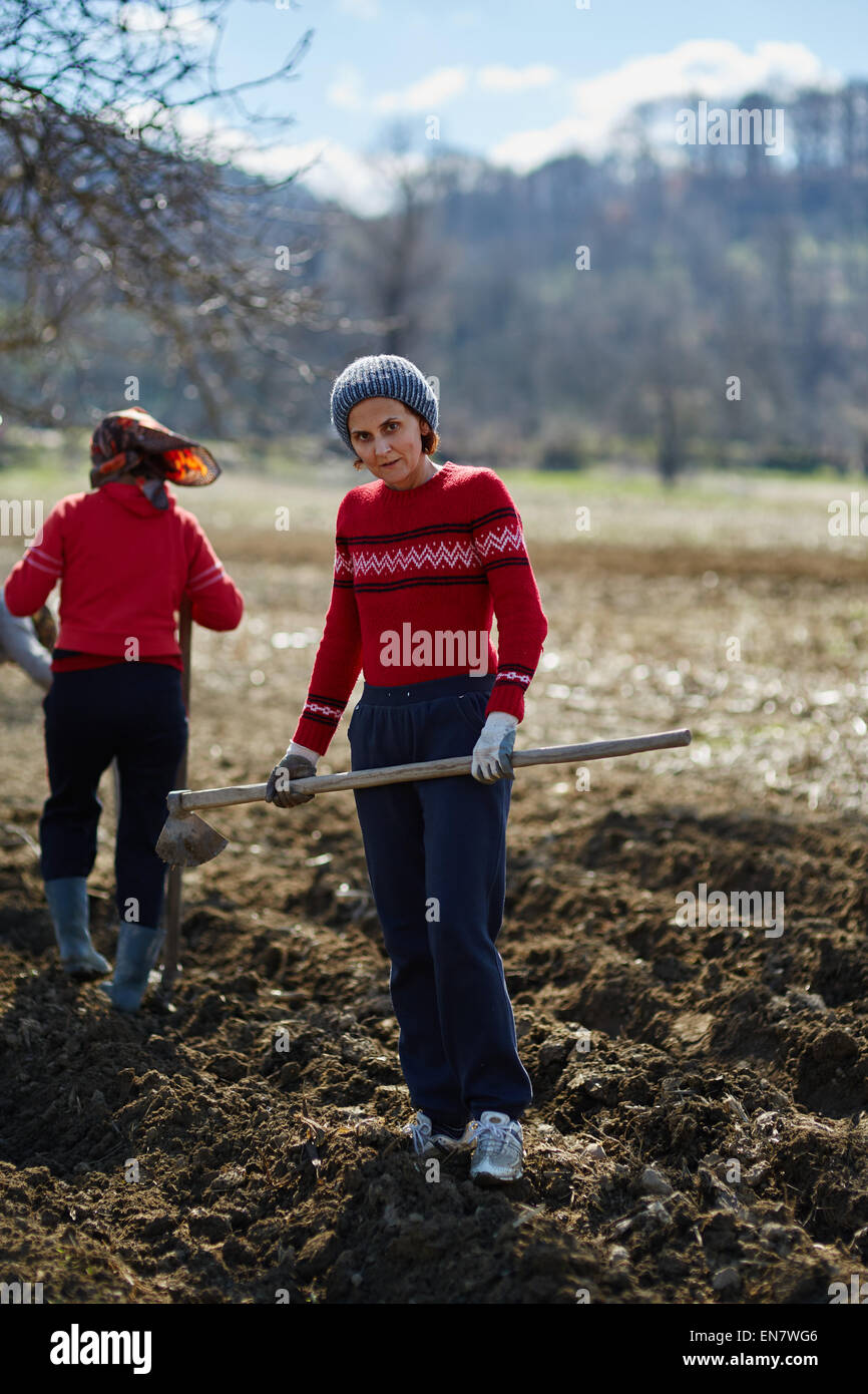 People sowing potato tubers into the plowed soil Stock Photo - Alamy
