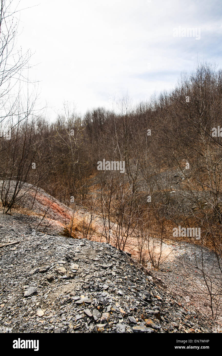 Fire damaged Hillside in Centralia, Pennsylvania where a mine fire that ...