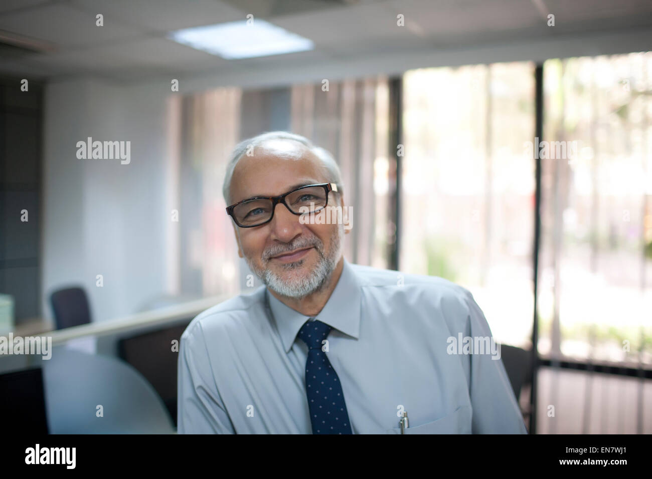 Portrait of senior executive Stock Photo - Alamy