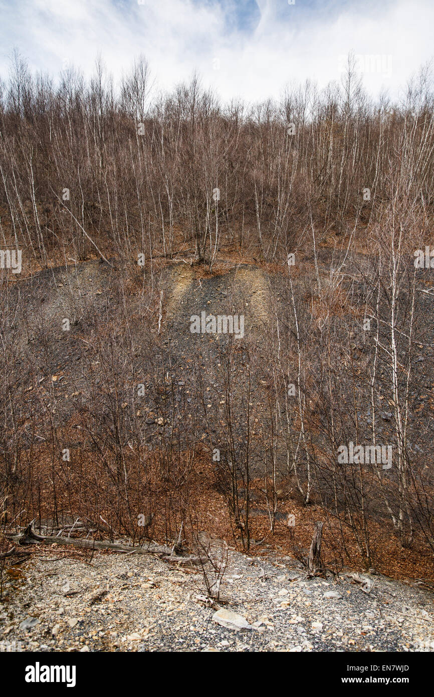 Fire damaged Hillside in Centralia, Pennsylvania where a mine fire that ...