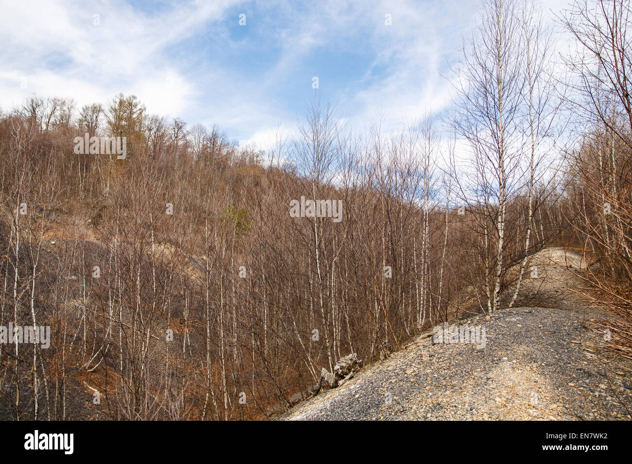 Fire damaged Hillside in Centralia, Pennsylvania where a mine fire that ...