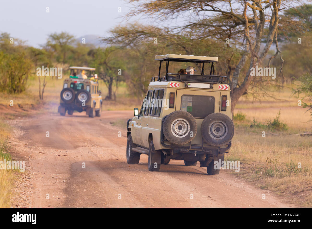 Jeeps on african wildlife safari Stock Photo - Alamy
