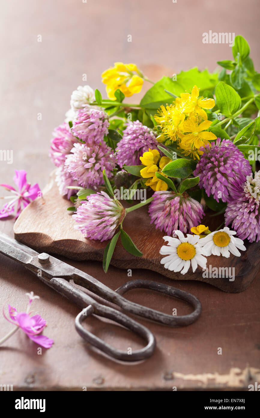 Medical flowers hi-res stock photography and images - Alamy